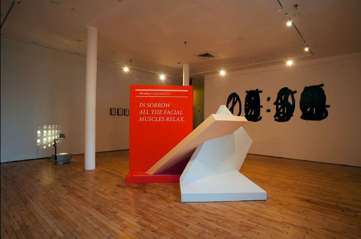 Ioana Nemes, 1978-2011 | R+D